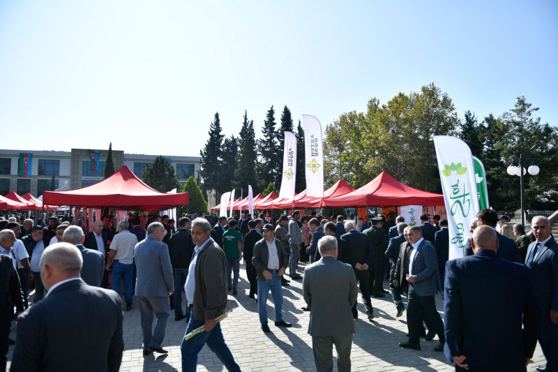 Biləsuvarda toxum sərgi-satış yarmarkası çərçivəsində f...