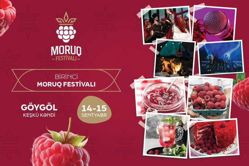 Göygöldə “Moruq Festivalı” keçiriləcək - KTN