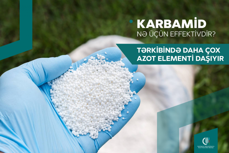 Karbamid gübrəsini necə düzgün istifadə etməli? - FERME...