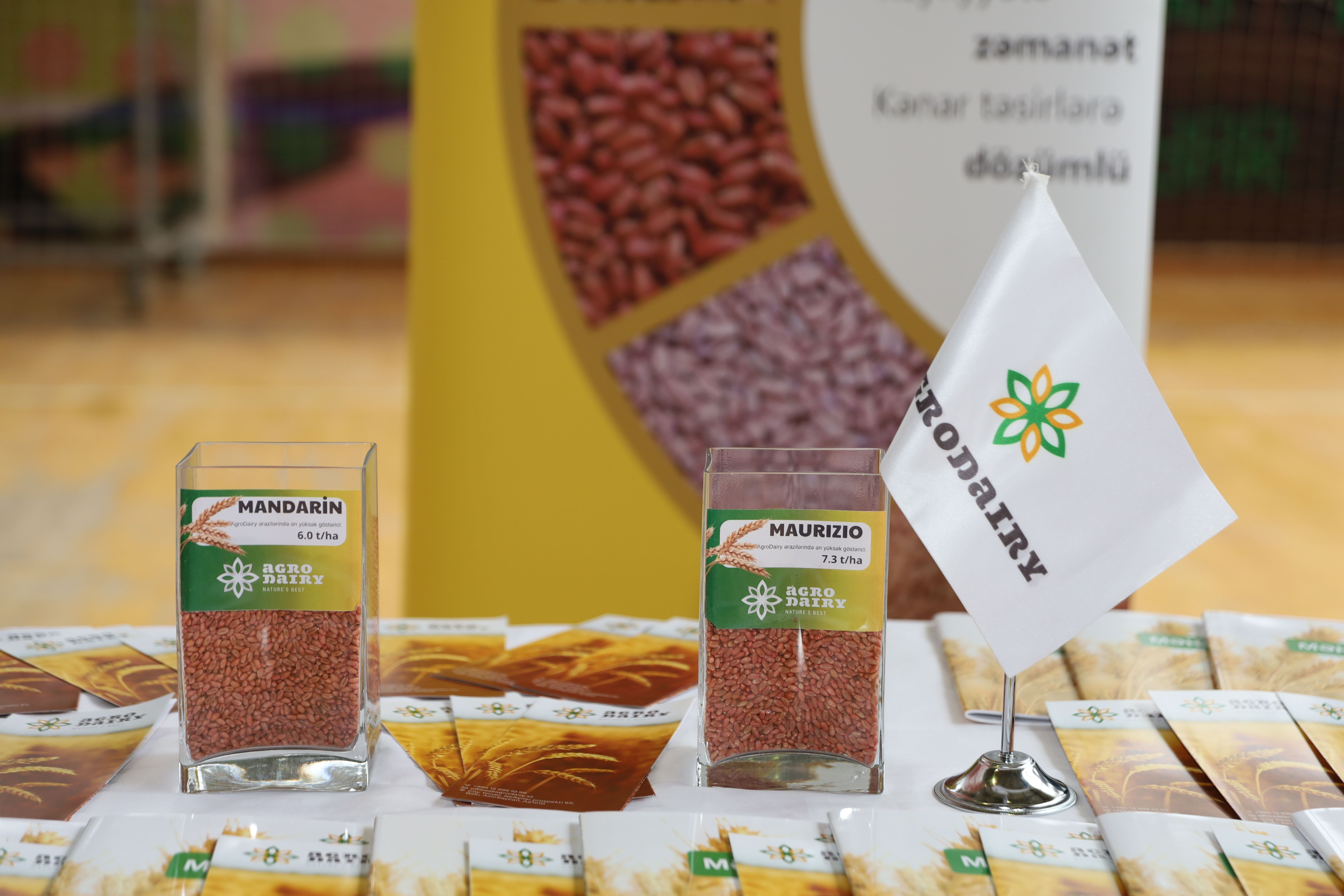 Cəlilabadda Aqrar Biznes Festivalı və toxum sərgi-satış...
