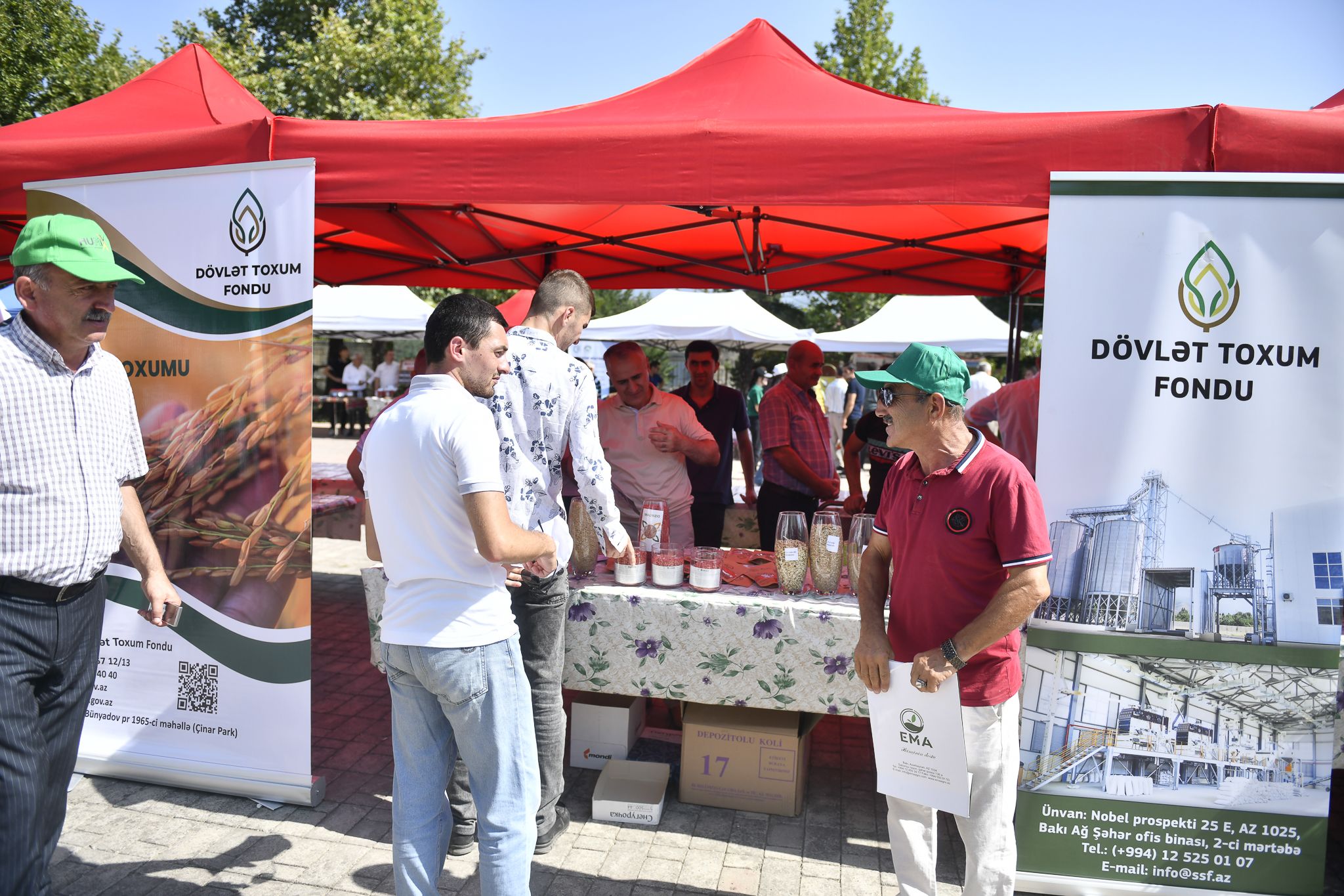 Azərbaycanda toxum sərgi-satış yarmarkalarına start ver...