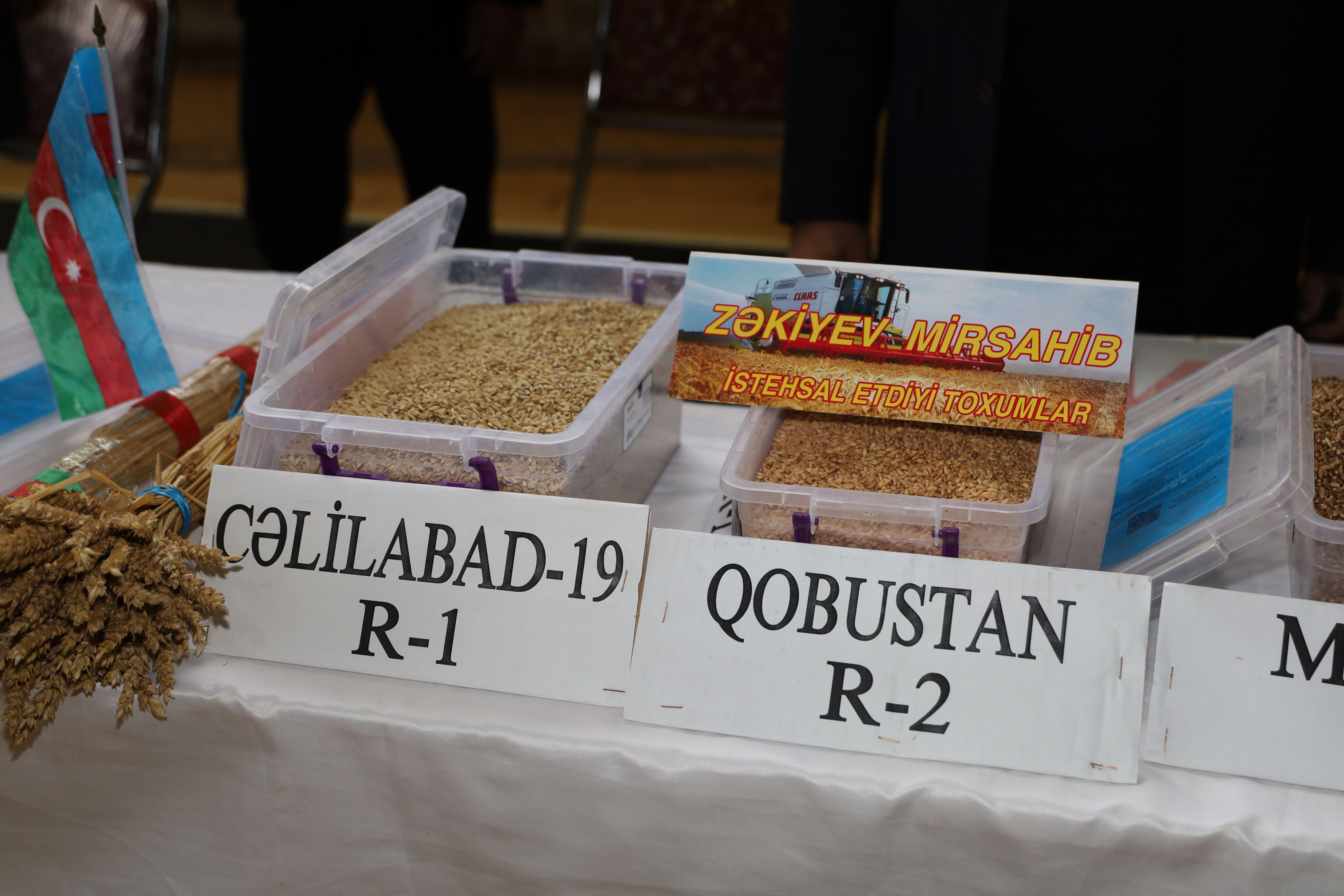Cəlilabadda Aqrar Biznes Festivalı və toxum sərgi-satış...