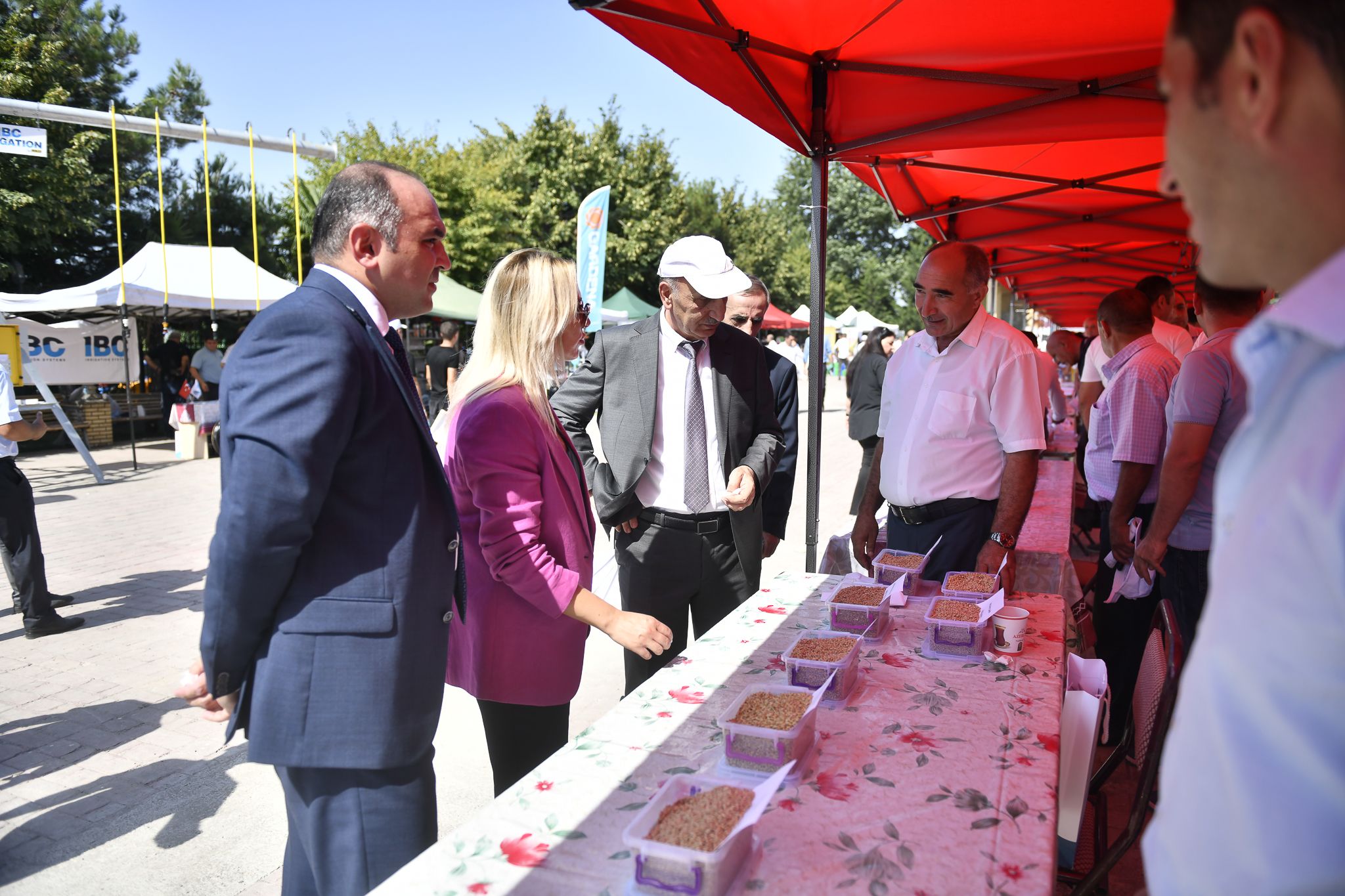 Azərbaycanda toxum sərgi-satış yarmarkalarına start ver...