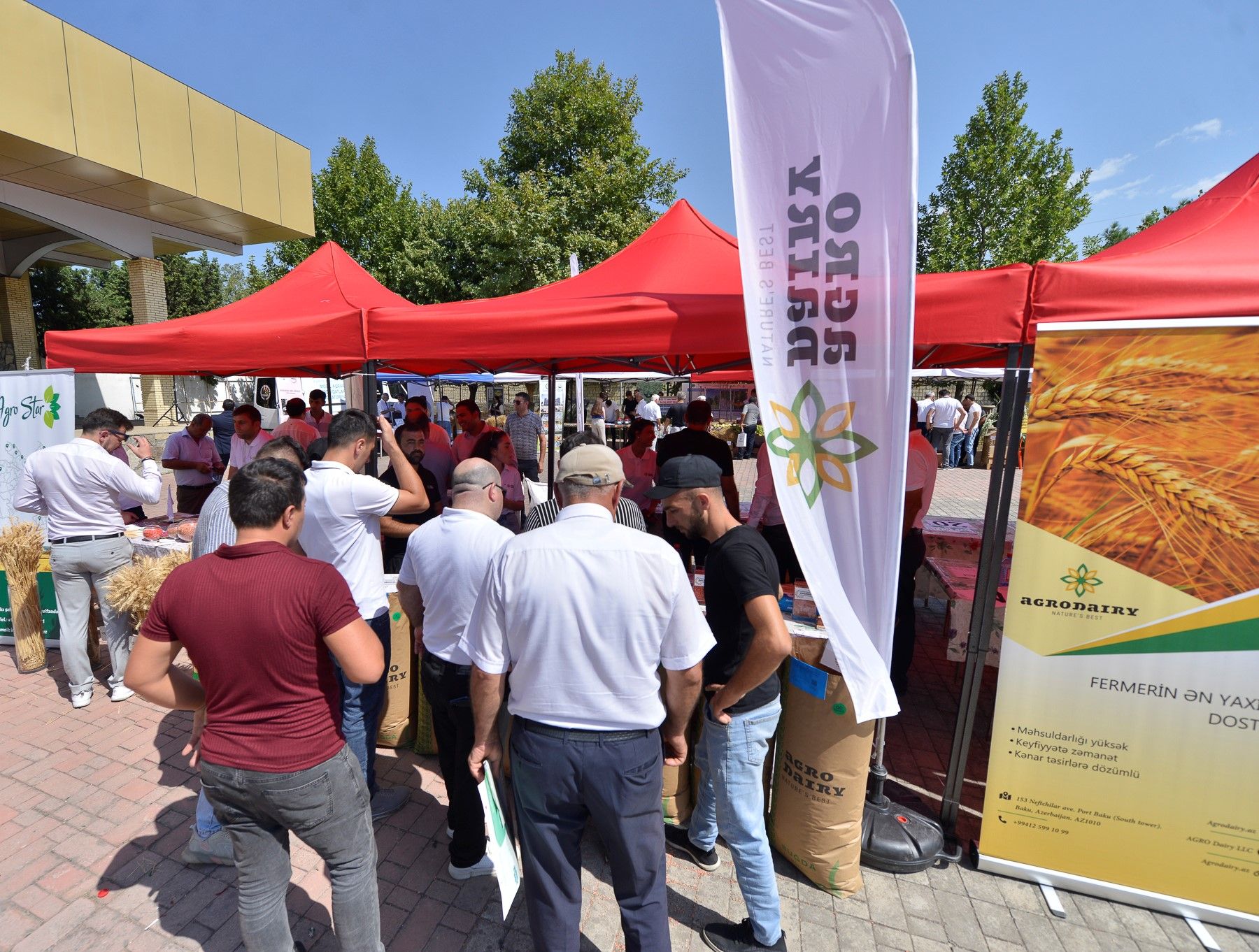 Azərbaycanda toxum sərgi-satış yarmarkalarına start ver...